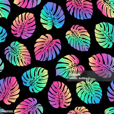 몬스테라 잎이 있는 패턴입니다 검은색 배경에 여러 가지 색상의 몬스테라 잎이 있습니다 원활한 패턴 신록에 대한 스톡 벡터 아트 및 기타 이미지 Istock