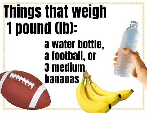 Abeka Arithmetic 4 Or 5 Measures And Metric System Help 60 Posters 110