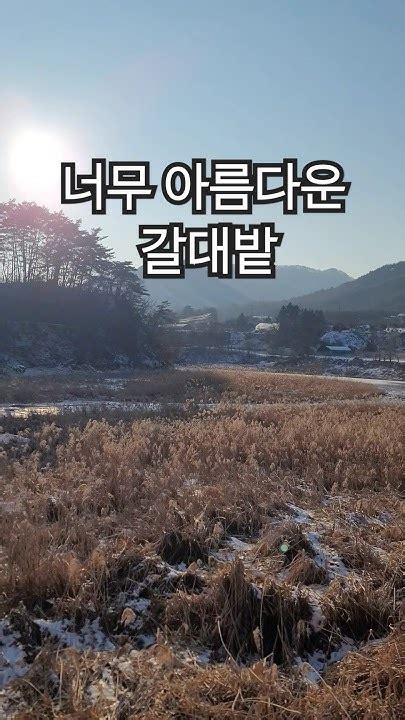 이찬원의 명곡 시절인연 Youtube