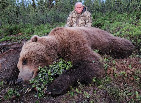 Big Alaska 9 Day 8 Night Grizzly Bear Hunt For One Hunter In Alaska