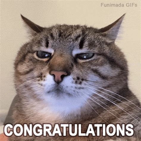 Congratulations S Animated Images To Celebrate Any Occasion