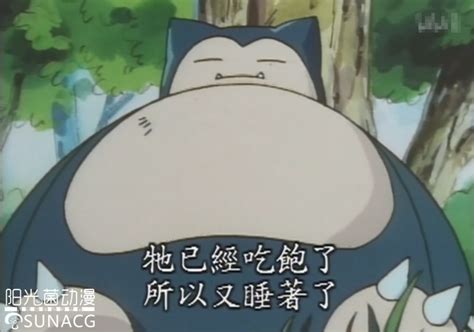 宠物小精灵中最懒最嗜睡的六种神奇宝贝 凯西