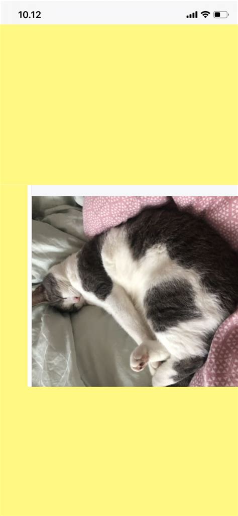 Html Ios Rotates Image When Lower Resolution Selected Html5 Input