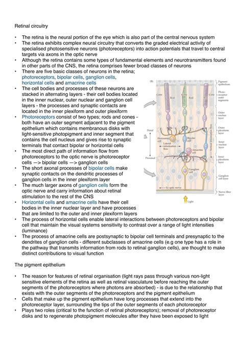 Introduction To Neuroscience Revision Notes Cogs1000 Introduction To Neuroscience 1 Mq