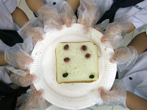 Welcome To 1f Writing Using Modified Language Experience Approach Mlea