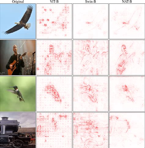 Figure 2 From Neighborhood Attention Transformer Semantic Scholar