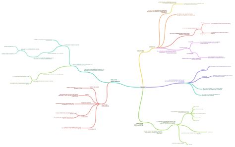 Cellula Coggle Diagram