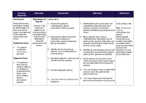 Ncp Cop Case Analysis 1 Example Only Of Ncp For Odler Person