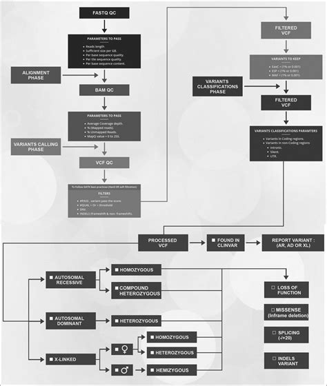 Applying Filtration Steps To Interpret The Results Of Whole Exome