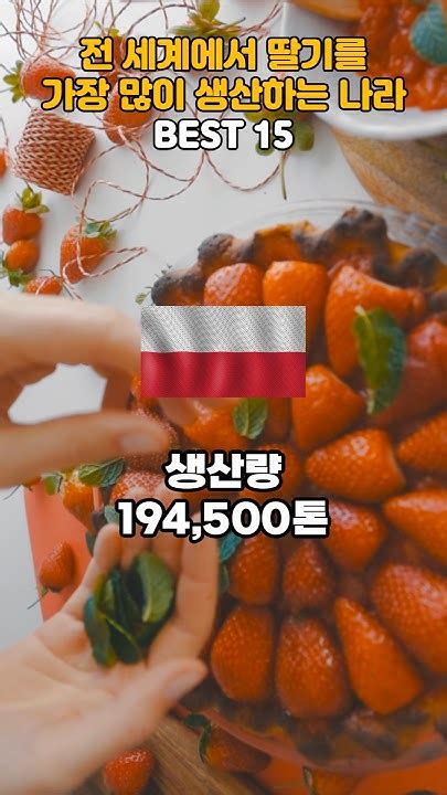 전 세계에서 딸기를 가장 많이 생산하는 나라 Best 15 Youtube