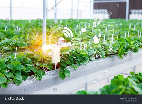 Agriculture Smart Farming Technology Sensor Co2 ภาพสต็อก 2446700869