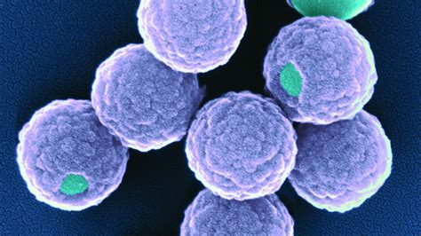 News Details Swiss Nanoscience Institute