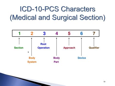 PPT ICD PCS Boot Camp PowerPoint Presentation Free Download ID