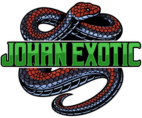 Skötselråd Kungspyton Python Regius