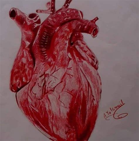 رسمات آية Aya Drawings