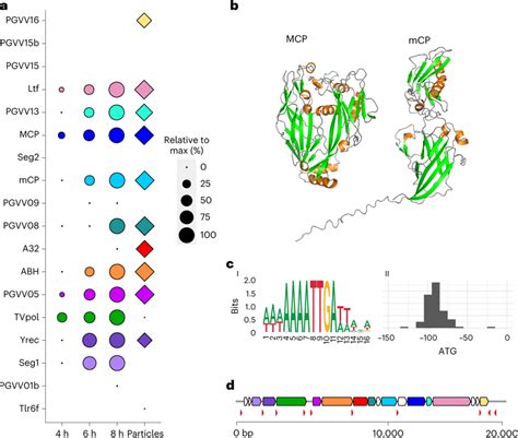 Gezel 14t Proteomic Features A Proteins Found By Mass Spectrometry At