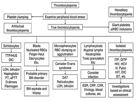 What Is New In Itp Ppt