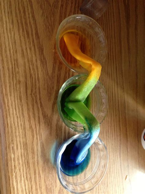 Diffusion And Osmosis Lab