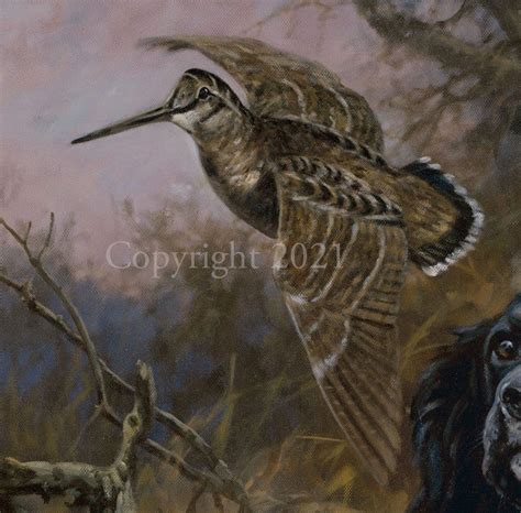 Cocker Spaniel Limited Edition Print Cocker Flushing Woodcock By John Trickett