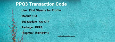 PPQ SAP Tcode For Find Objects For Profile