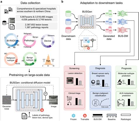 논문 리뷰 A Foundational Generative Model for Breast Ultrasound Image Analysis