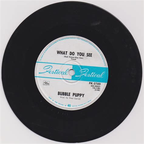 Bubble Puppy What Do You See 1970 Vinyl Discogs