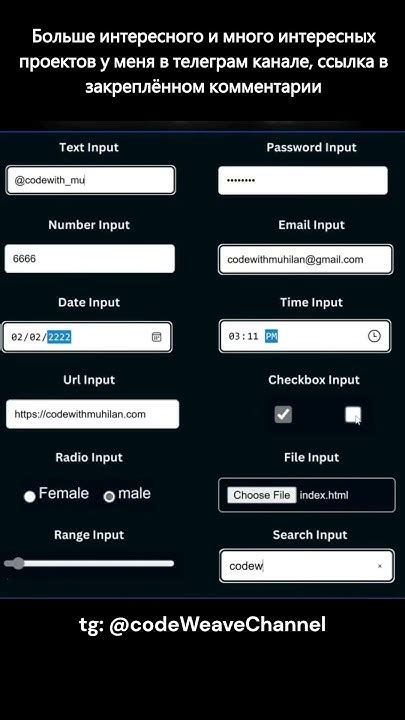 Html Input Types Shots рекомендации рек Coding Html Css Js