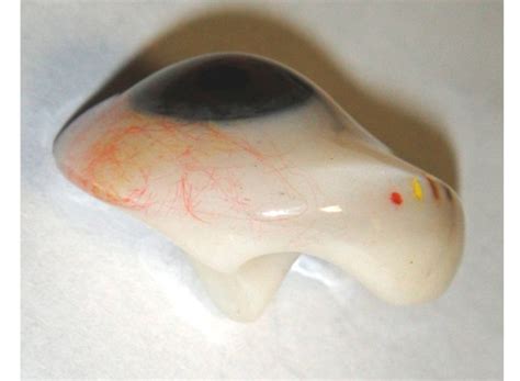 Large Artificial Eye The Dh Verity Eye Practice