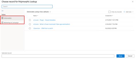 How To Perform Read And Write Operations With Polymorphic Lookup In