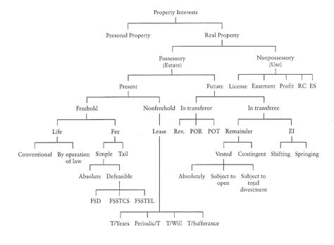 Property Interests Classification Chart Law School Life Law School