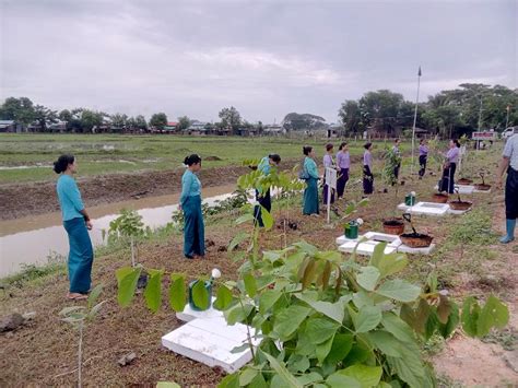 ဒလမြို့နယ်တွင် သဘာဝပတ်ဝန်းကျင် စိမ်းလန်းစိုပြေရေး ၂၀၂၄ ခုနှစ် မိုးရာသီသစ်ပင်စိုက်ပျိုးပွဲတော် က