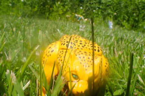 Cheetor By Nkkkkkkbggg On Deviantart