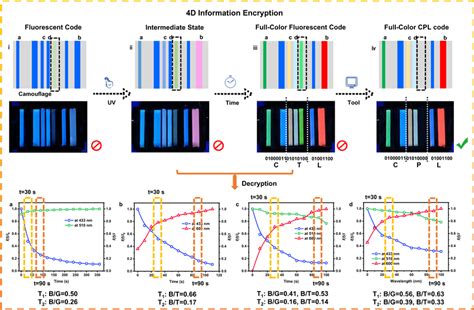 Design And Concept Of 4d Information Encryption And Decryption I Iv Download Scientific Diagram