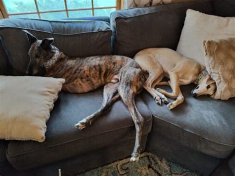 Motorola Thinkphone Review It S Worth Thinking About Android Authority