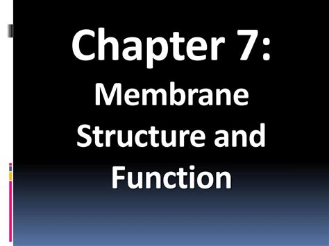 PPT Chapter 7 Membrane Structure And Function PowerPoint Presentation ID 2152637