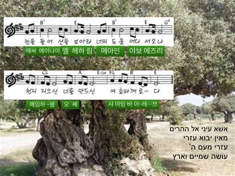 히브리어 찬양 시편 121 5 6 7 8 하나님은 너를 지키시는 자 너의 우편에 그늘 되시니 낮의