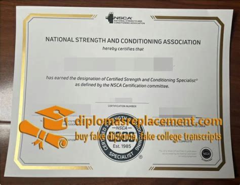 Ppt How To Order Cscs Nsca Certificate Online Powerpoint Presentation Id13245852