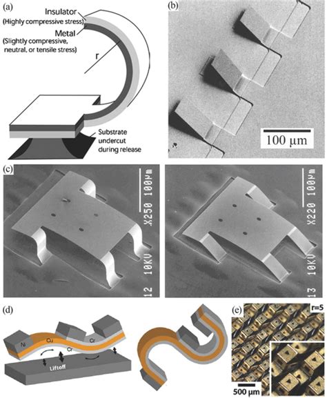 A Curvature Of Bilayer Driven By Residual Stress Reproduced With Download Scientific Diagram