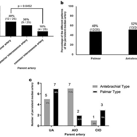 Origin And Pattern Of The Persistent Median Artery A Percentage Of The