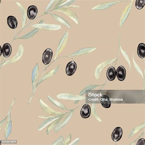 분기 수채화 패턴에 올리브 잎이 있는 검은 과일의 손으로 그린 그림 매끄러운 잎이 많은 배경 식물성 배경 직물과 벽지에 대한 포장지 메뉴 디자인 건강한 생활방식에 대한 스톡
