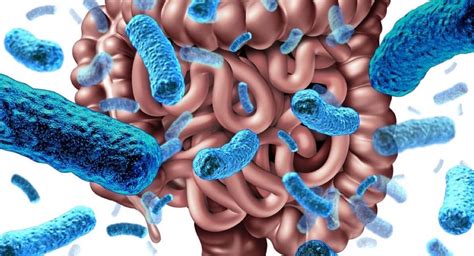 Какова причина расстройства кишечника МЦ Академия здоровья