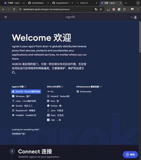 getting started with ngrok expose your local server to the internet with one click by yuzou