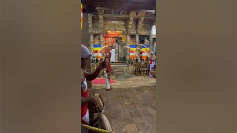 දළදා වහන්සේගේ කරඩු මණ්දිරය විවෘත කරන අයුරු 🙏🏻🌸🌸🪷🙏🏻 සාදු සාදු සාදු සා 🙏🏻🙏🏻🙏🏻 Youtube