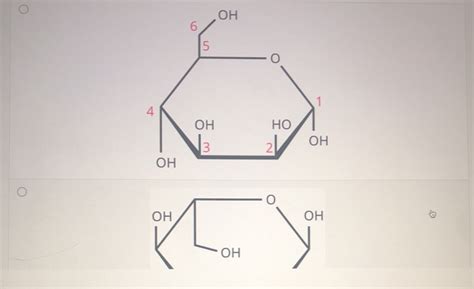 Solved Distinguish Open Chain Monosaccharides From Cyclic