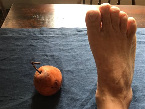 Times Danny DeVito Has Trolled Us With Feet Pics EBaum S World