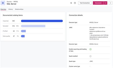 Run Documentation Flow Ataccama One