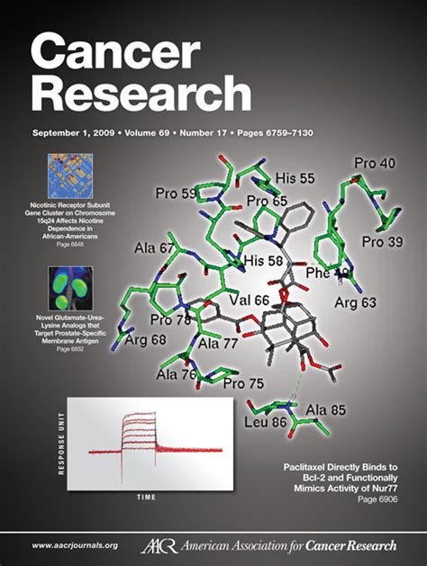 ectopic runx2 expression in mammary epithelial cells disrupts formation