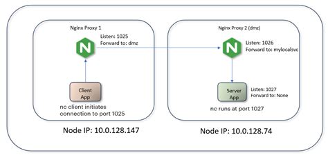 Enhancing Client Server Connectivity With Dual Nginx Reverse Proxies