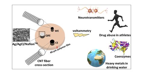 Carbon Nanotube Microelectrode Set Detection Of Biomolecules To Heavy Metals Analytical Chemistry