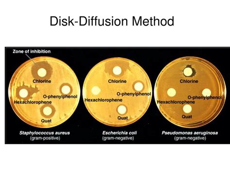 Disk Diffusion Method Microbiology At Patricia Bartholomew Blog